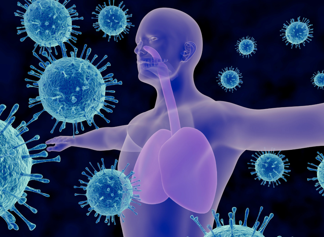 Sistem Imunitas (Kekebalan Tubuh) : Definisi, Cara Kerja, Jaringan ...